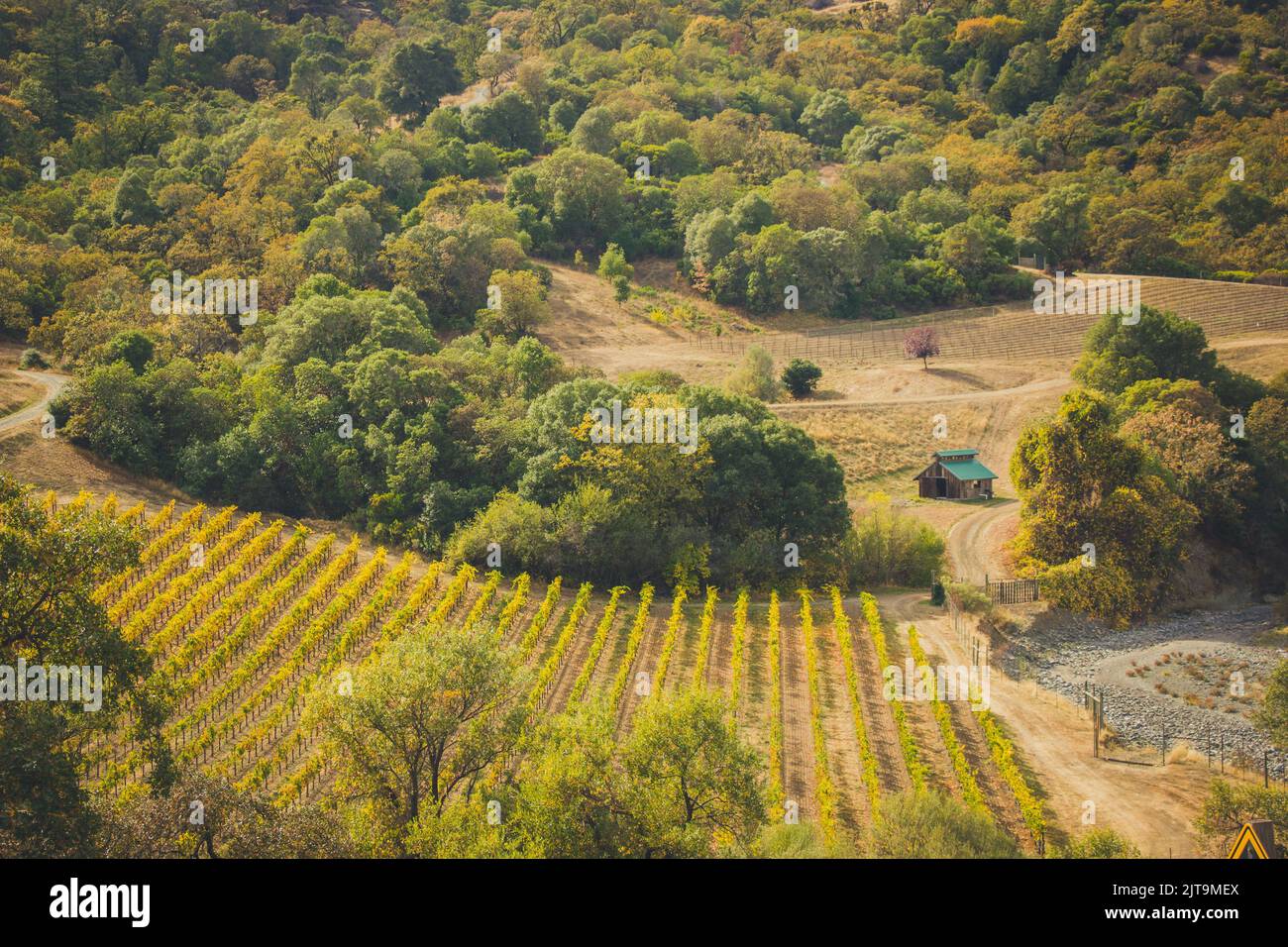 An aerial view of greenery fields surrounded by dense trees Stock Photo ...