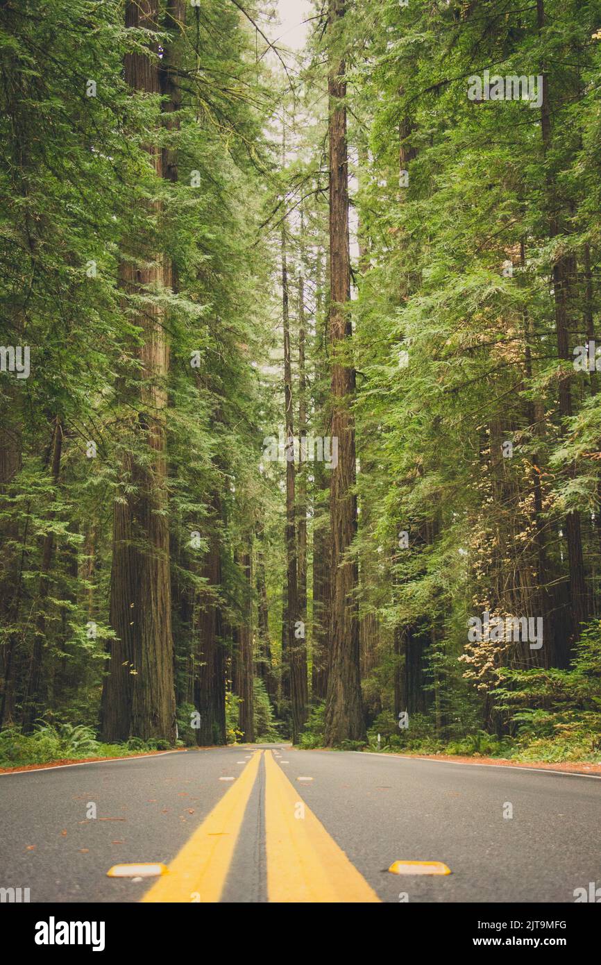 Drone vertical shot asphalt road hi-res stock photography and images ...