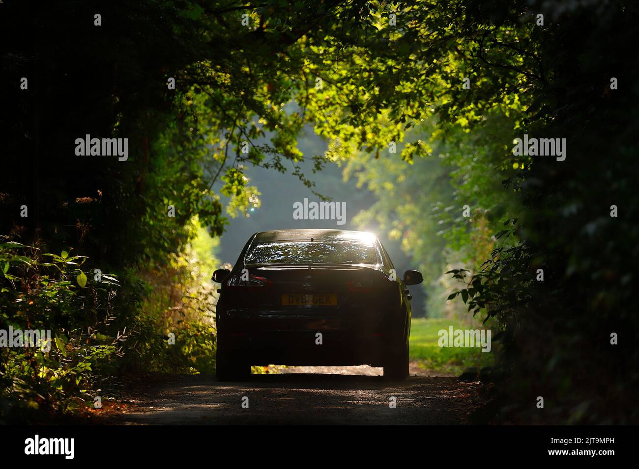 Most scenic drives hi-res stock photography and images - Alamy