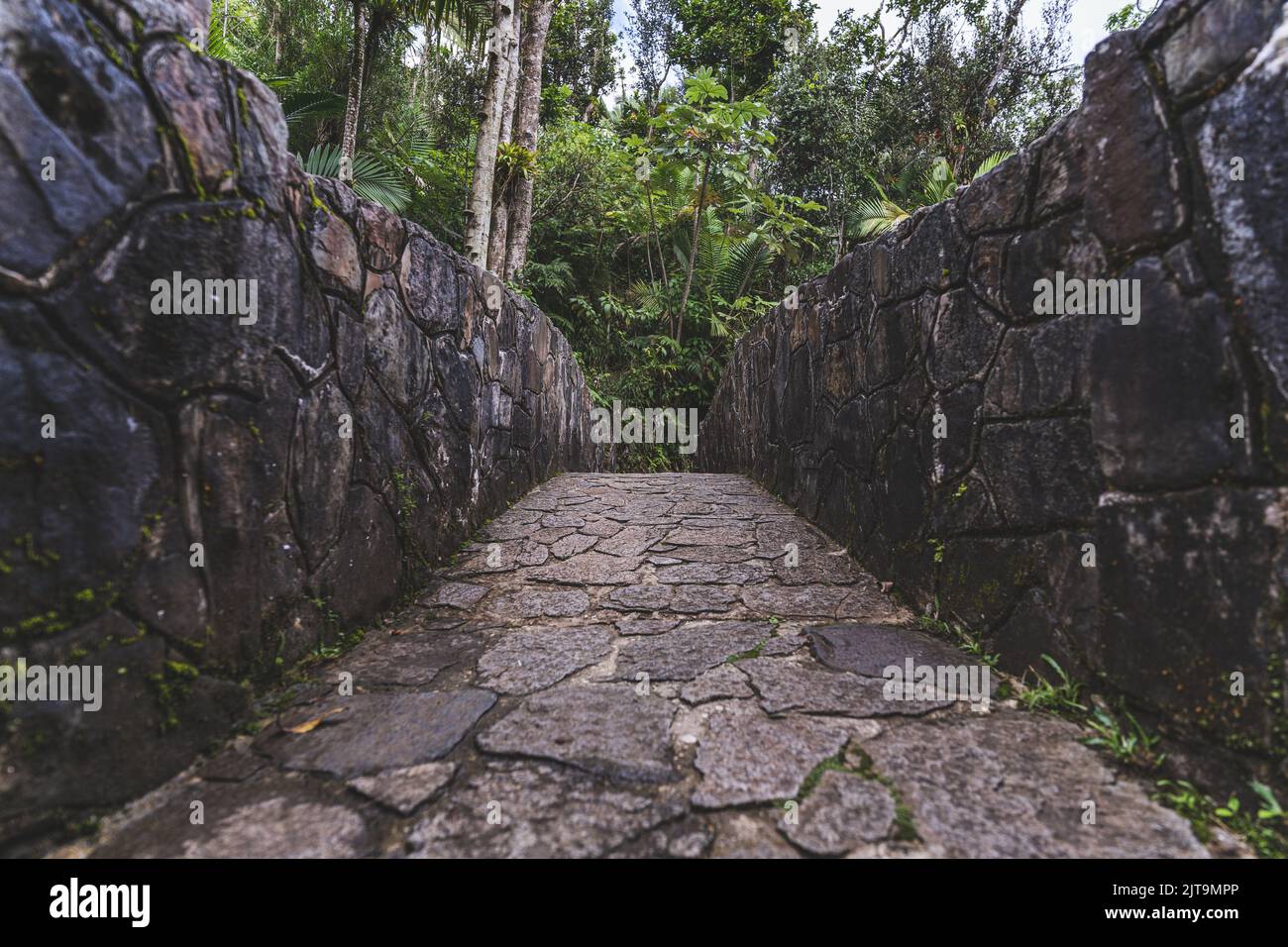 Stone bridge at Abandon Bano Grande Swim area in El Yunque National ...