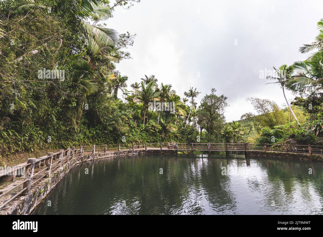 The Bano Grande swimming pool, fed by a stream, in the El Yunque ...