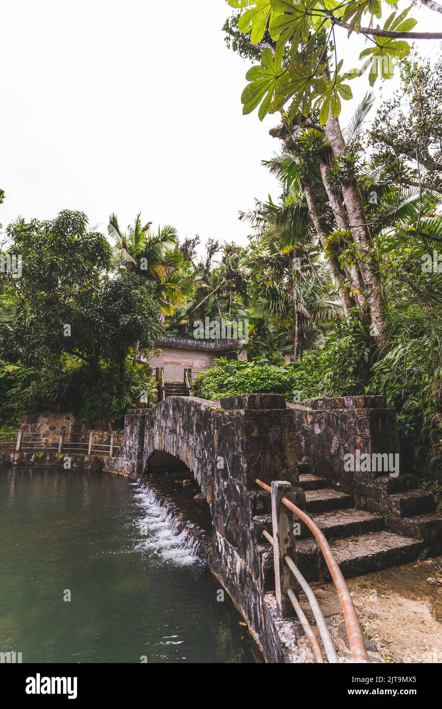 The Bano Grande swimming pool, fed by a stream, in the El Yunque ...