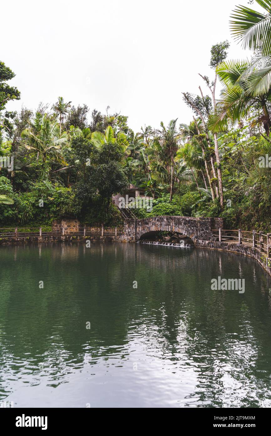 The Bano Grande swimming pool, fed by a stream, in the El Yunque ...