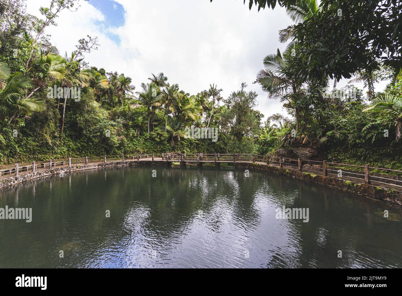 The Bano Grande swimming pool, fed by a stream, in the El Yunque ...