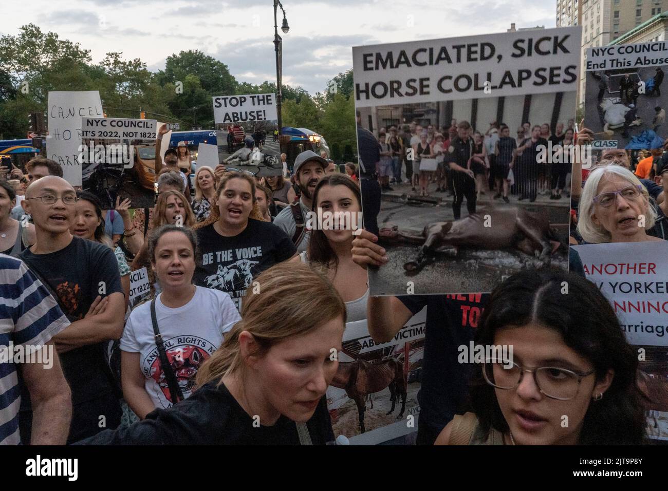 New York, United States. 27th Aug, 2022. Protesters holding placards ...