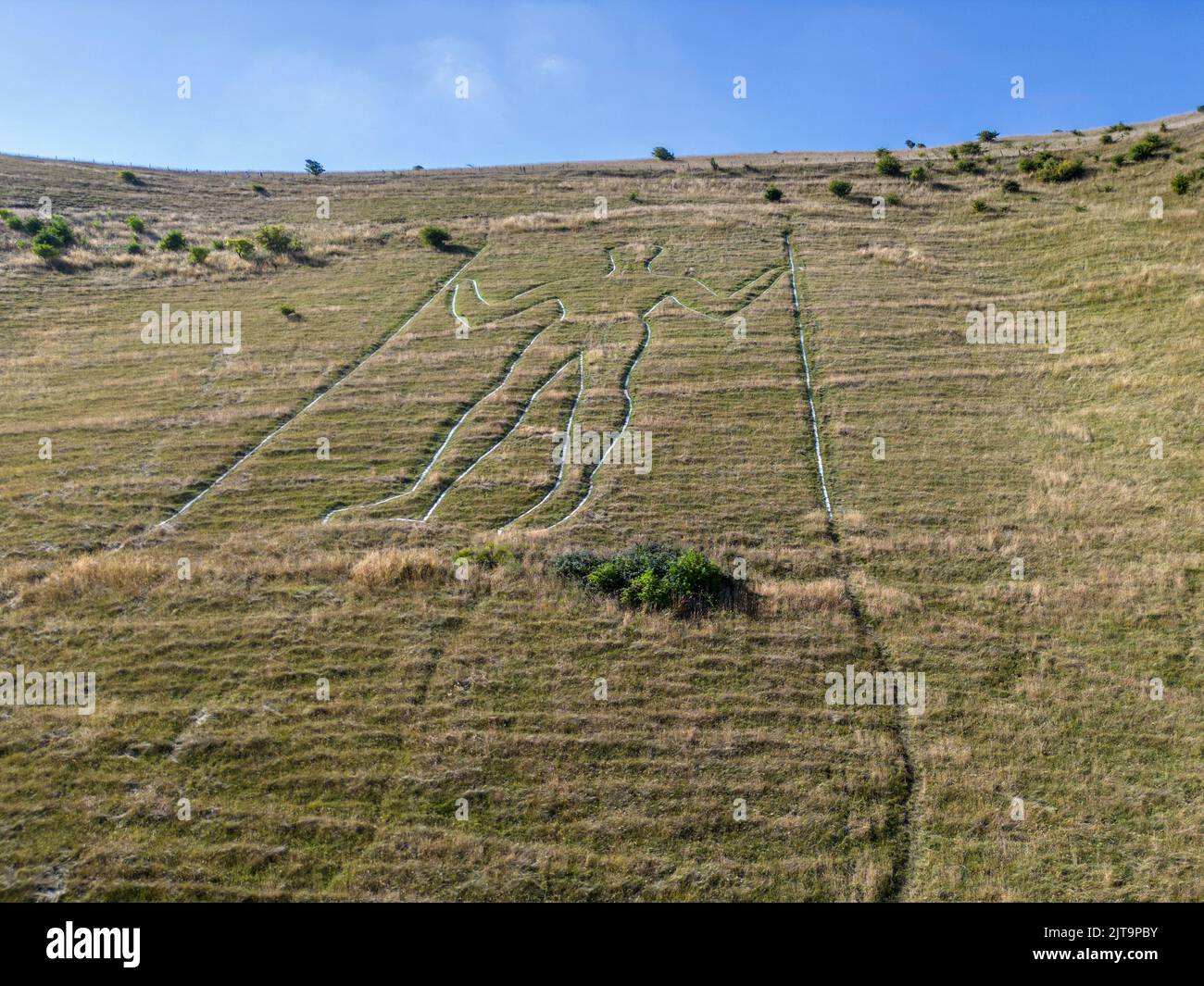 aerial view of the long man of wilmington on the south downs in east ...