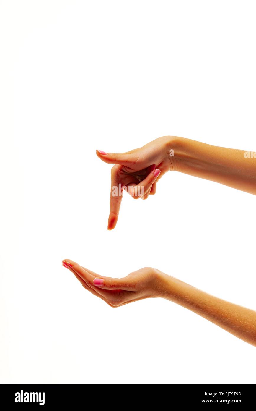 Pointing. Beautiful female hands gesturing isolated on white studio ...