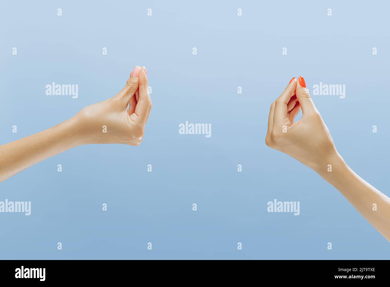 Ask. Graceful female hands gesturing isolated on blue background ...