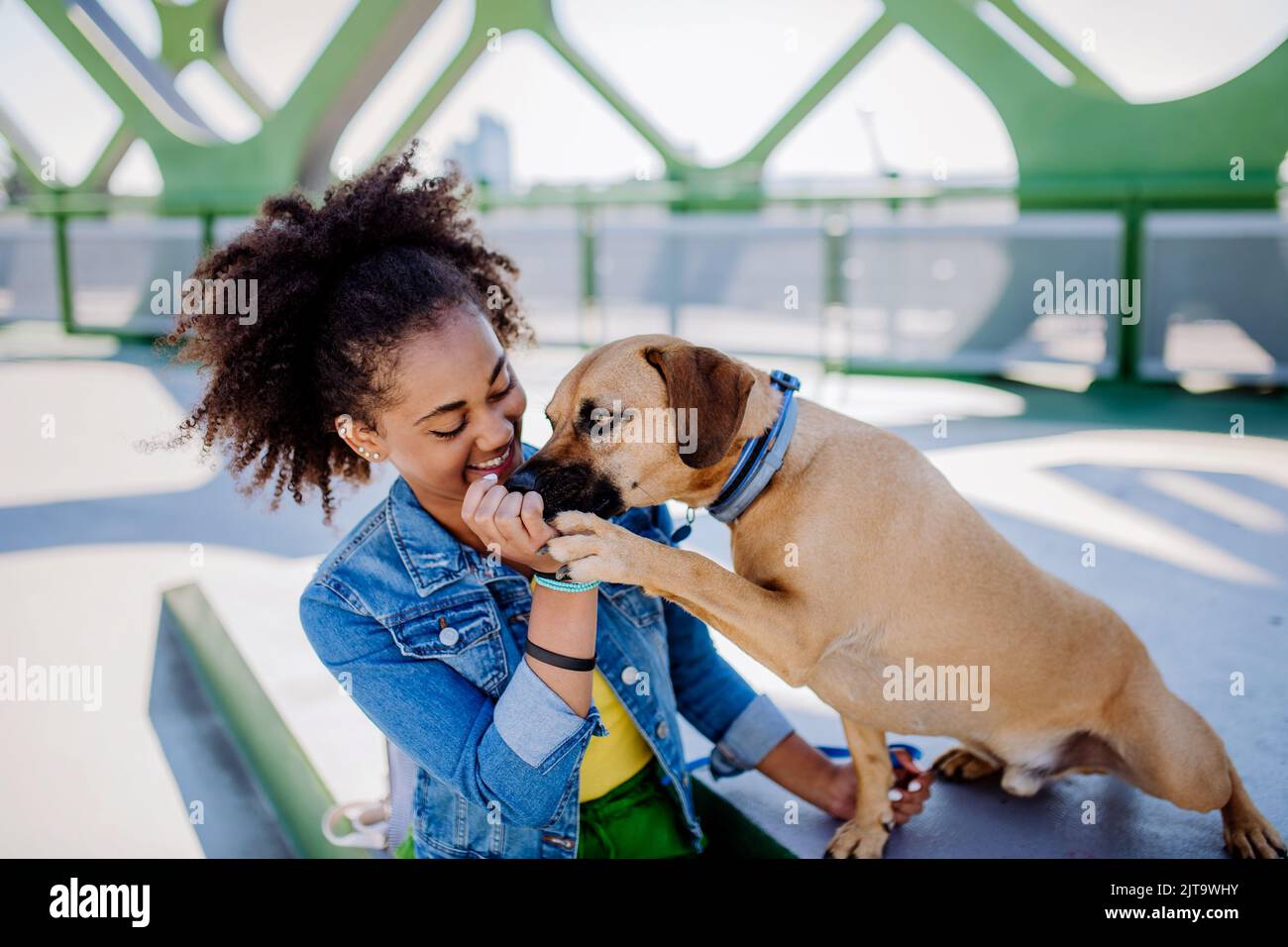 Multiracial girl sitting with her dog outside in the bridge, training ...