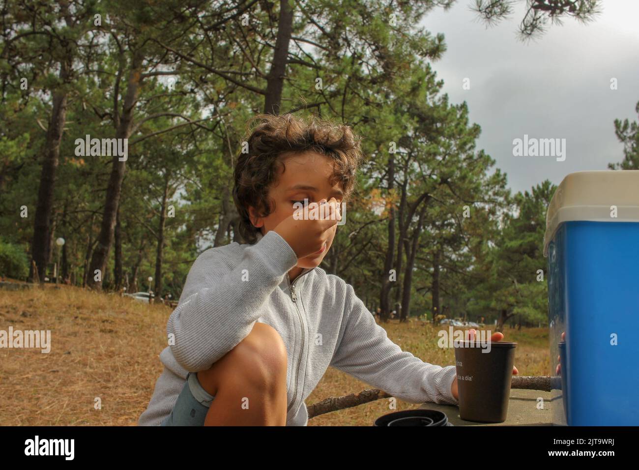 child in a pine forest enjoying a healthy snack in the evening Stock ...