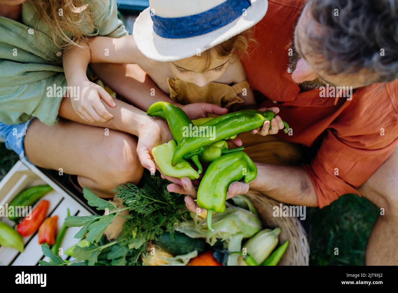 Top view of happy family holding their harvest, fresh vegetable ...