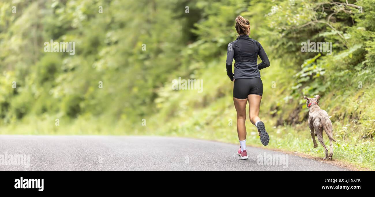 Young woman wuns with her Weimaraner on the side of an asphalt road ...