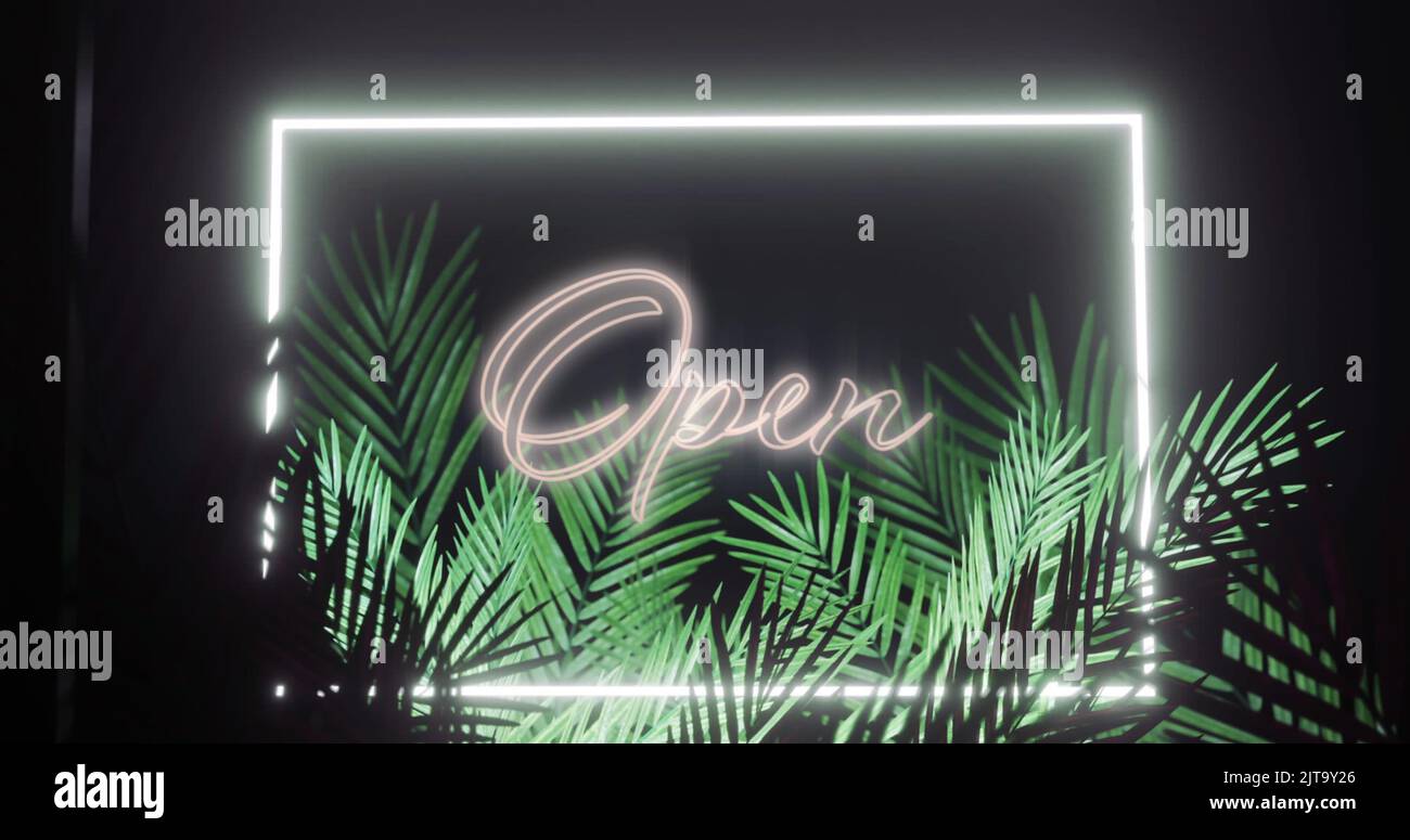 Image of open text and frame in white neon, with palm leaves on black ...