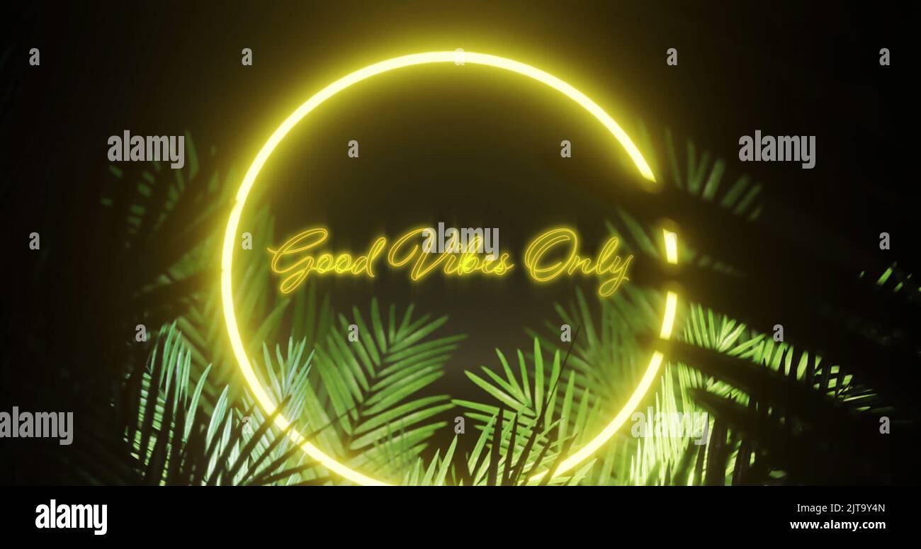 Image of good vibes only text over neon shape and leaves on black ...
