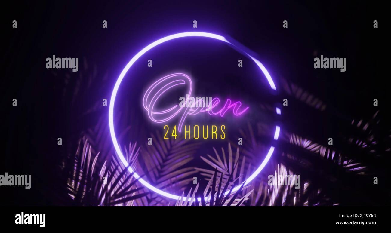 Image of open 24 hours text over neon shape and leaves on black ...