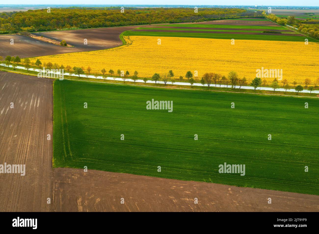 Aerial shot of asphalt road surrounded with trees and cultivated fields ...