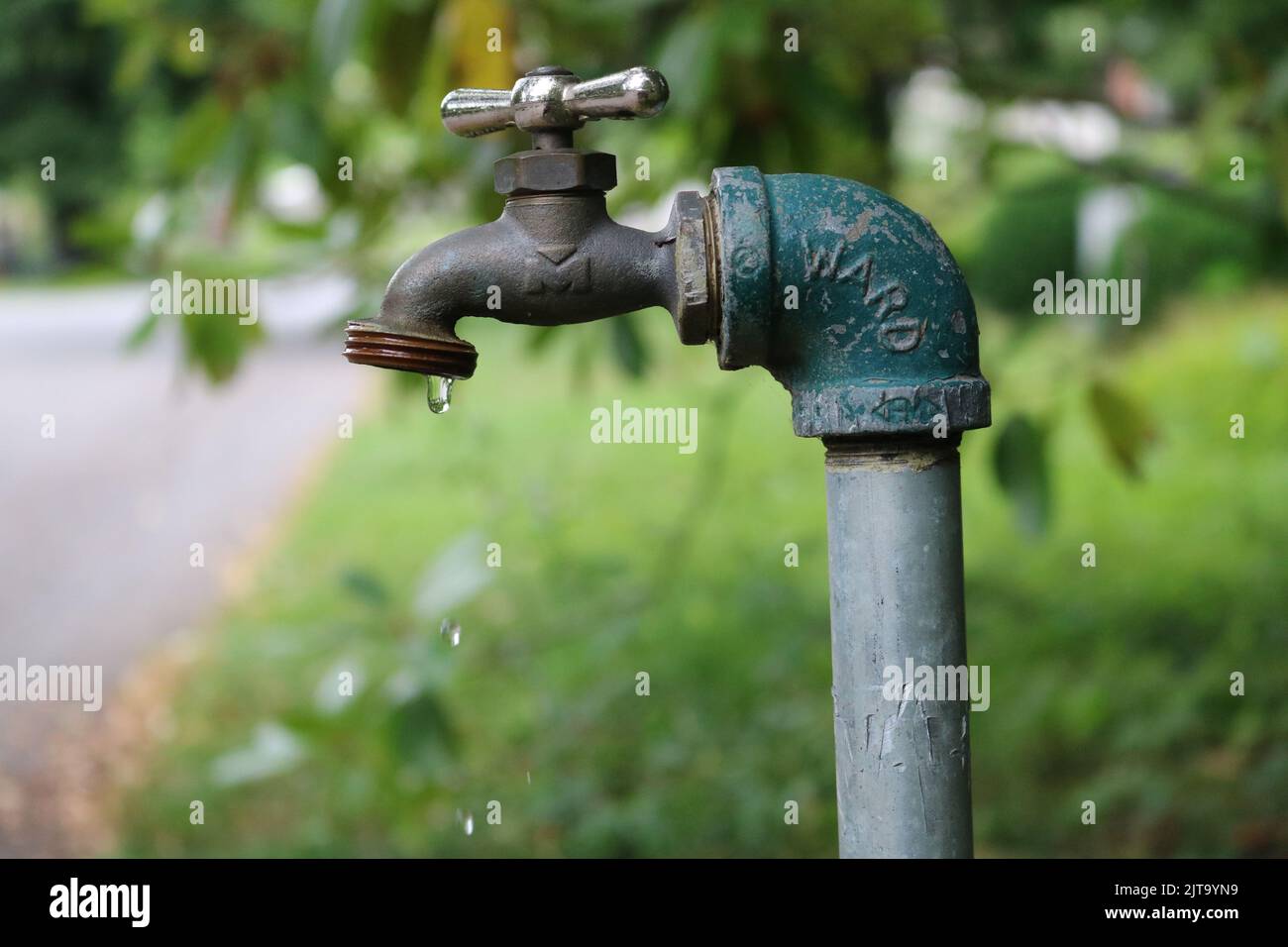 A closeup of a garden tap with dripping water Stock Photo - Alamy