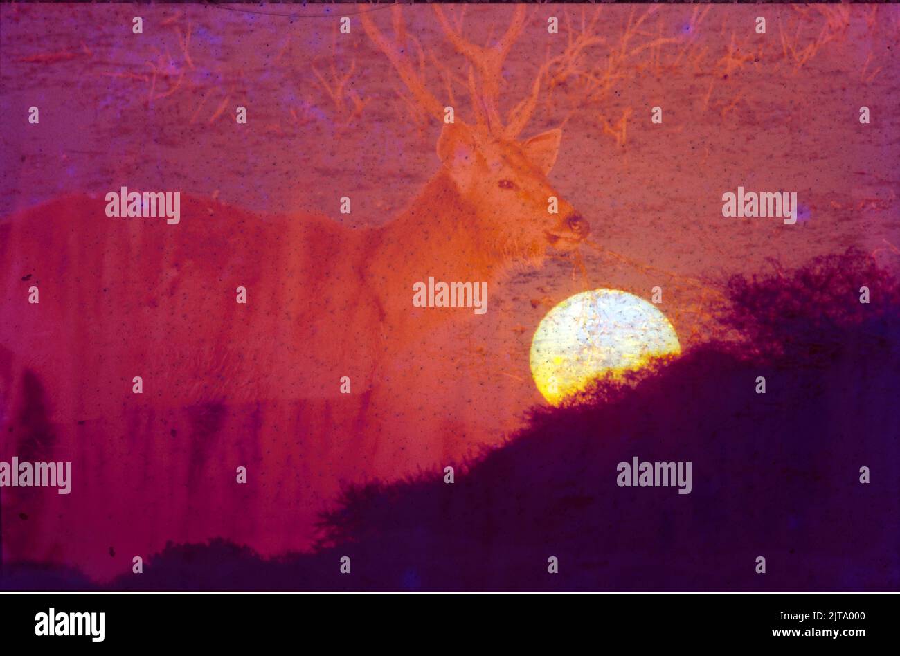 Superimposition, Erroneous, Picture Story Stock Photo - Alamy