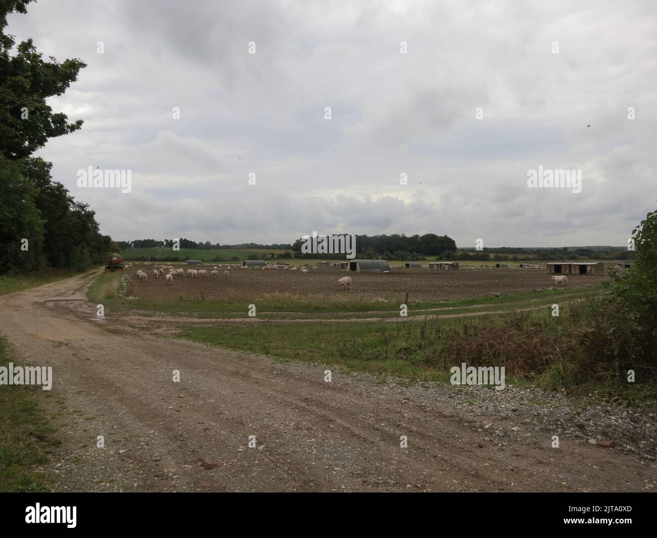 The Peddars Way National Trail long distance footpath. Norfolk. England ...