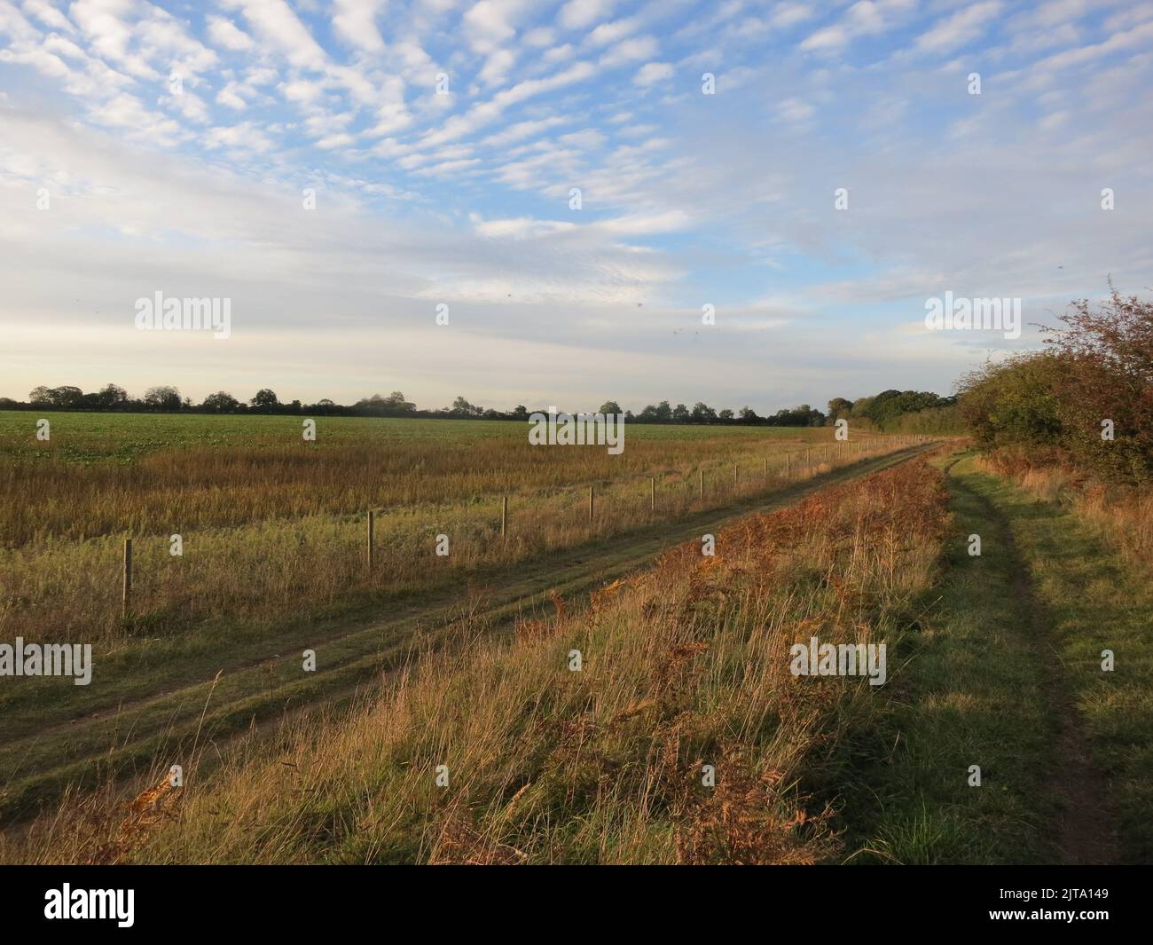 The Peddars Way National Trail long distance footpath. Norfolk. England ...