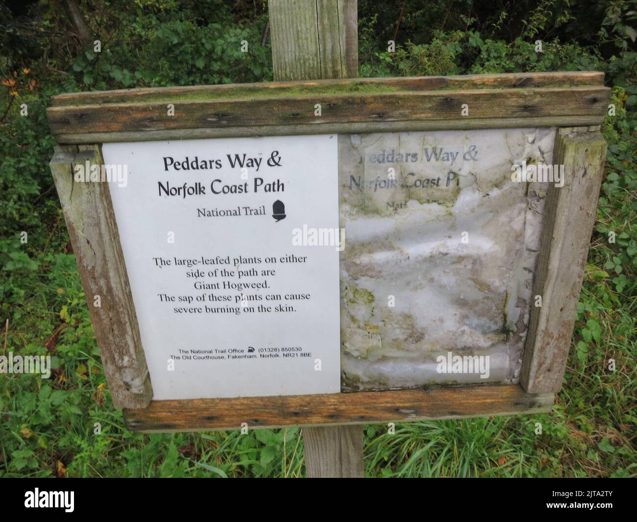 The Peddars Way National Trail long distance footpath. Norfolk. England ...