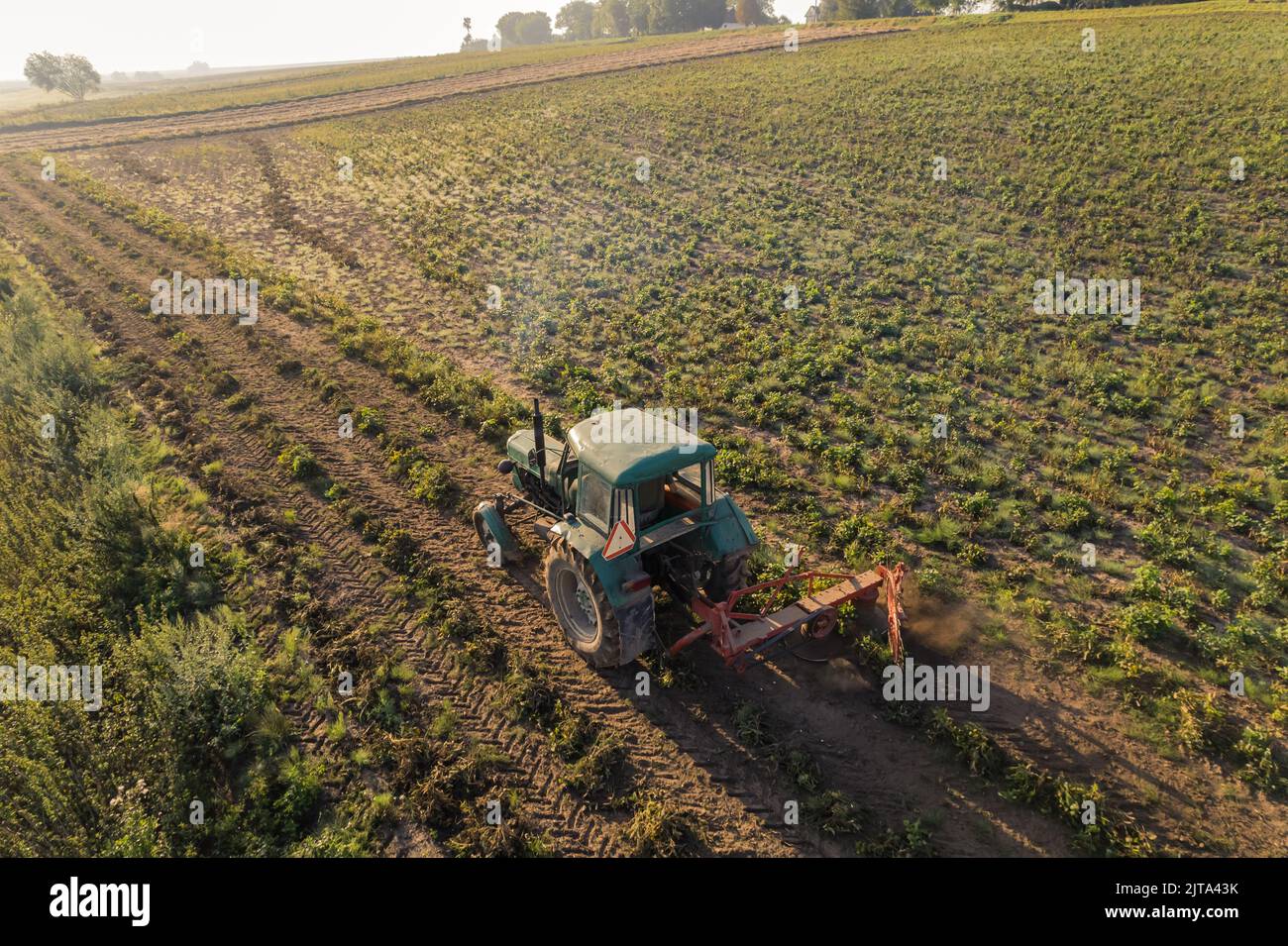 Green tractor with plougher driving through bean plantation next to lush green field and faded ...