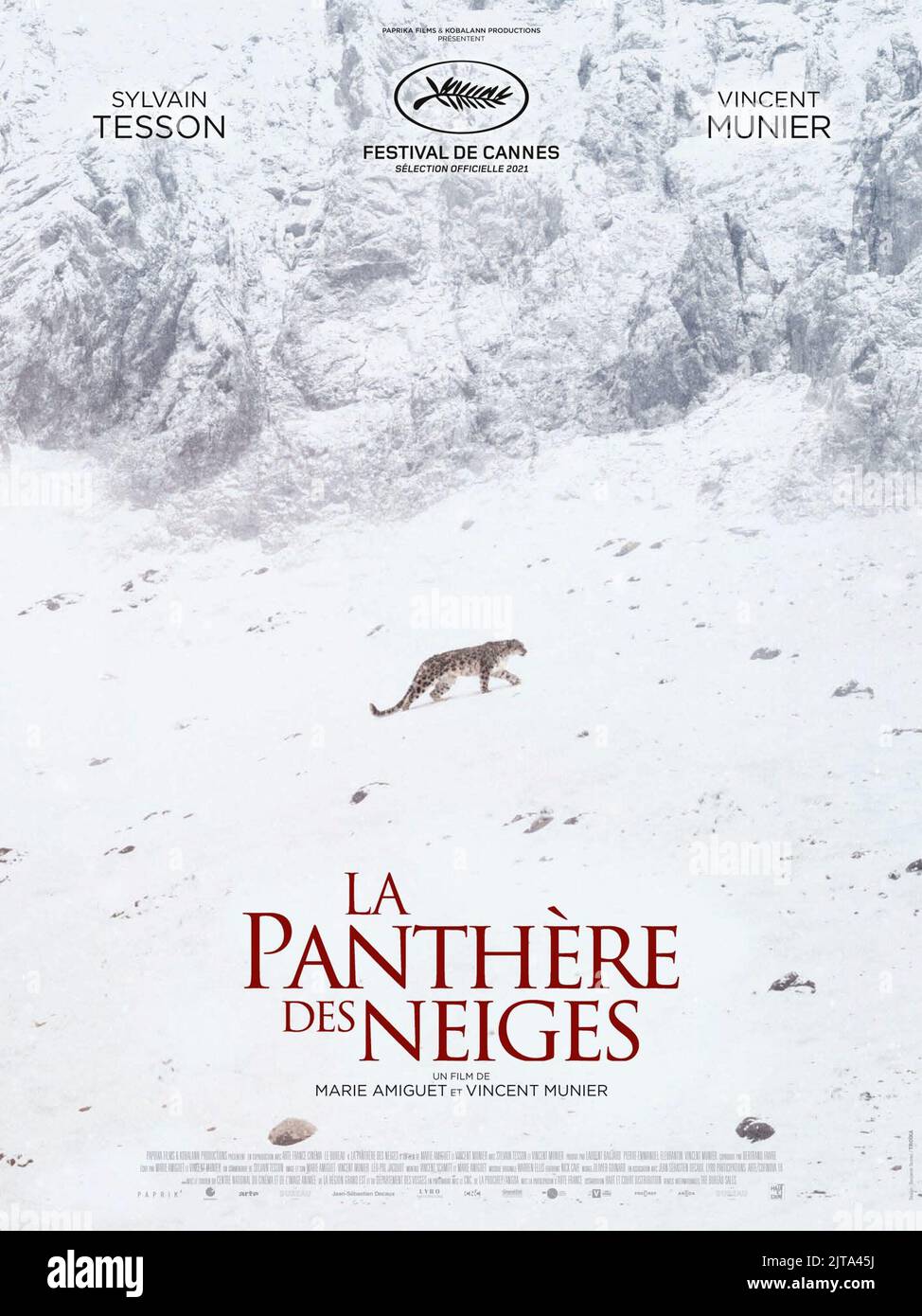 THE VELVET QUEEN (2021) -Original title: LA PANTHERE DES NEIGES ...