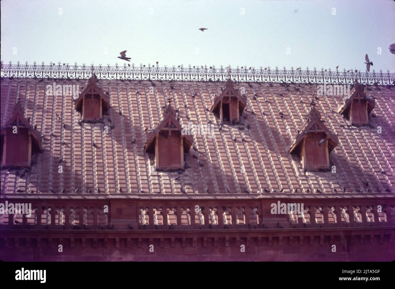 Single picture story hi-res stock photography and images - Alamy