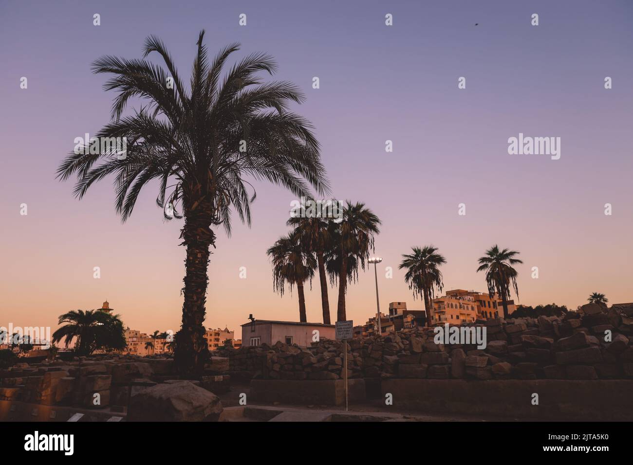 Black and Orange Sunset Sky with the Palm Trees on the background in ...