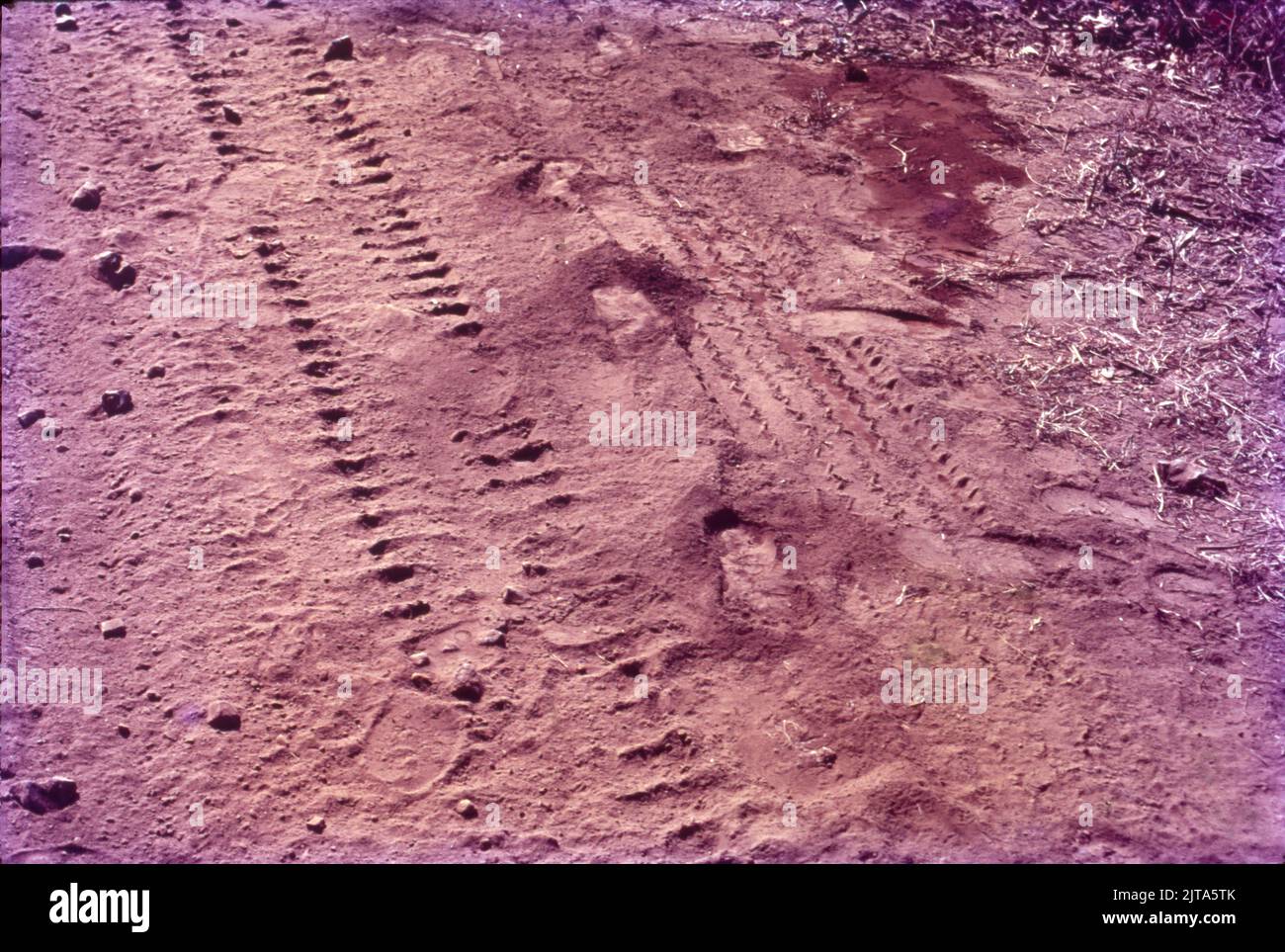 Single Picture Story, Mud Trails on the Road Stock Photo - Alamy