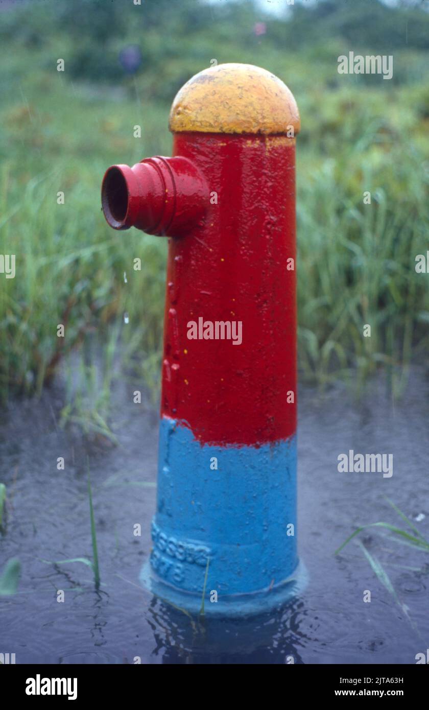 Single Picture Story, Fire Hydrant Stock Photo - Alamy