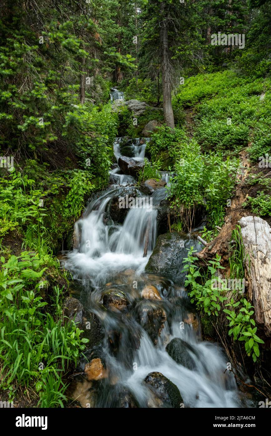 Panorama small forest stream black hi-res stock photography and images ...