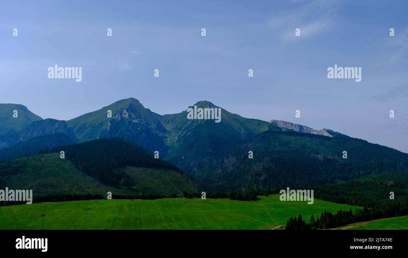 Misty horizons blue tones. Forested mountain slope in low lying cloud ...