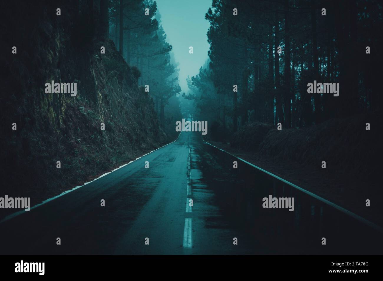 Long dark rainy roads with trees and forest nature around. Concept of ...