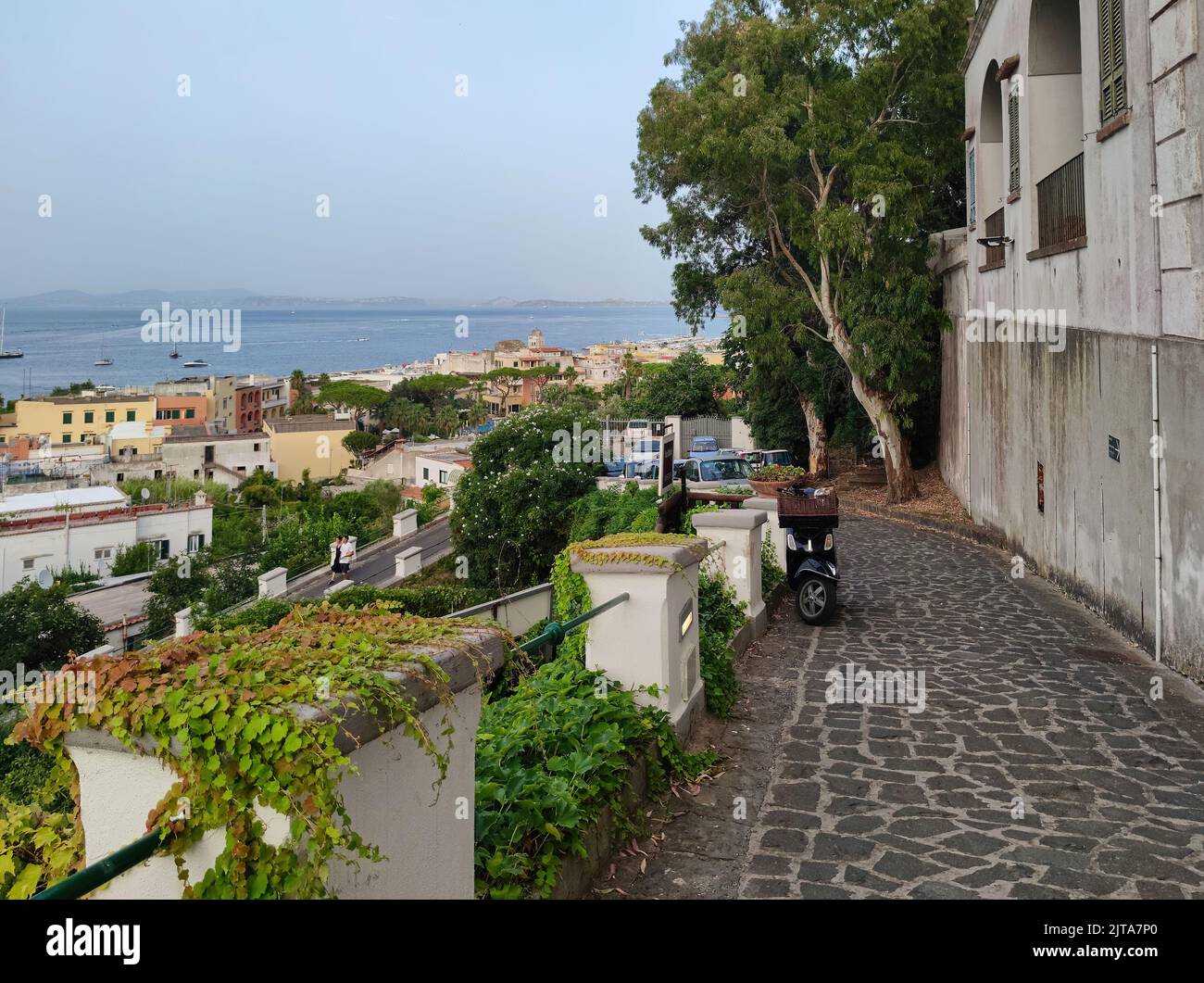 An overview of the beautiful village of Lacco Ameno municipality of the ...