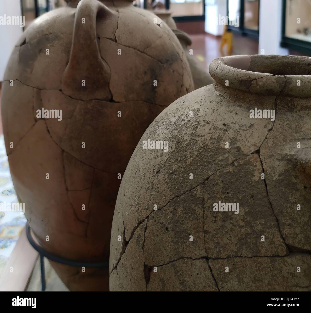 The Archaeological Museum Pithecusae in the municipality of Lacco Ameno ...