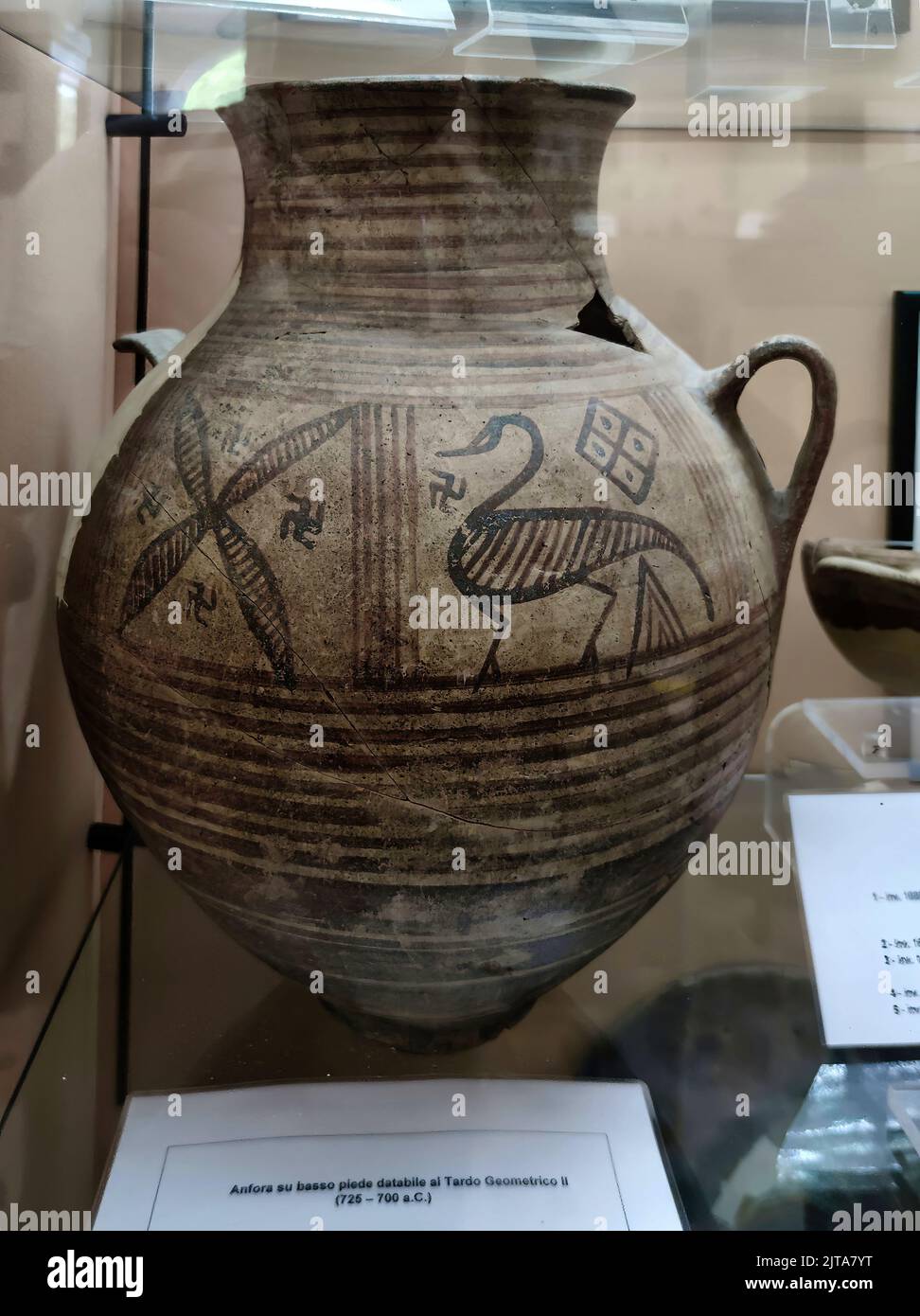 The Archaeological Museum Pithecusae in the municipality of Lacco Ameno ...