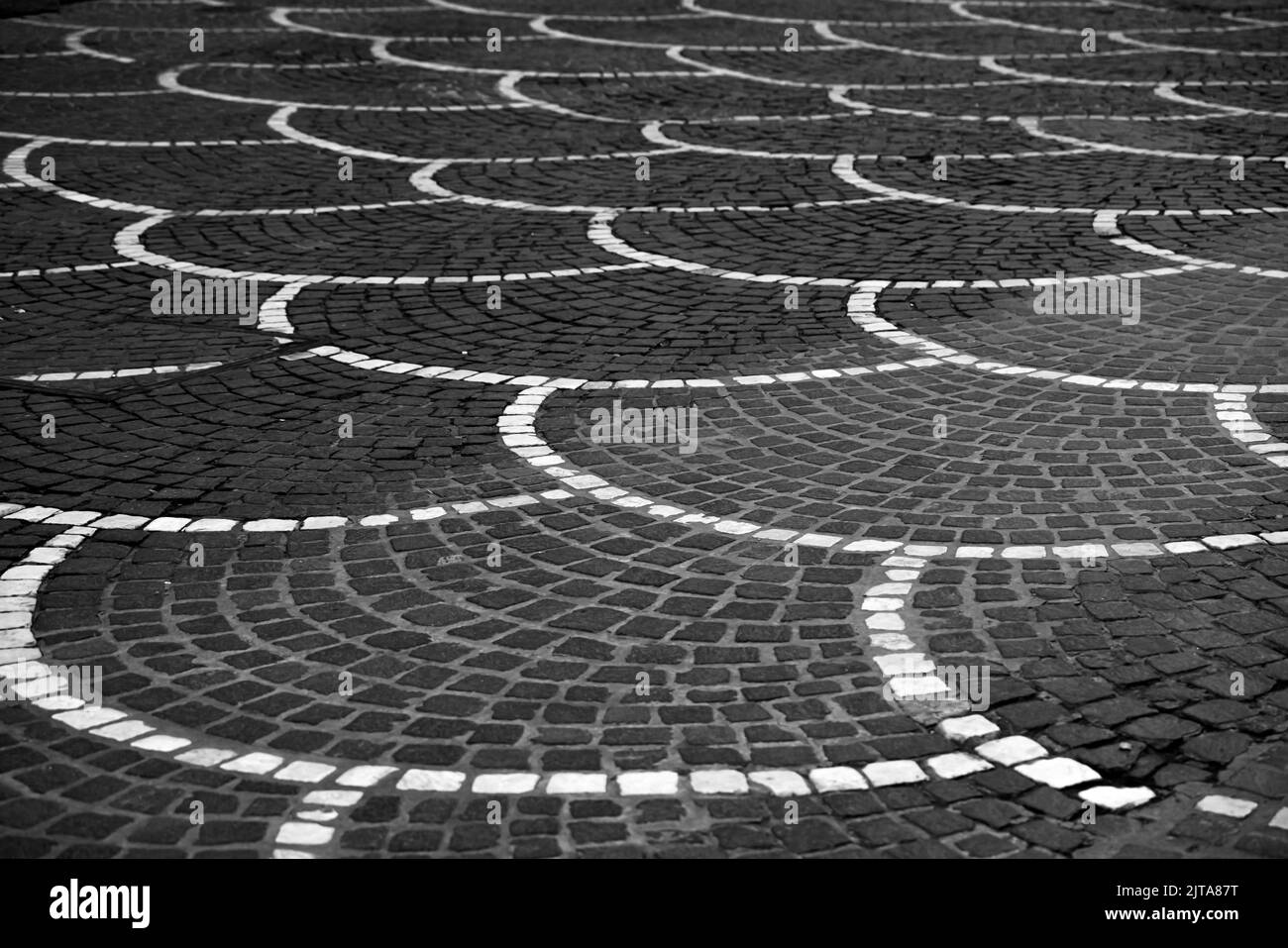 Fish scale hi-res stock photography and images - Alamy