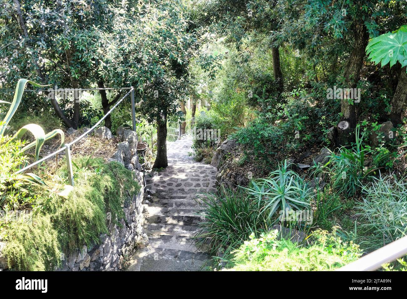 Founded by Lady Walton,wife of composer William Walton,La Mortella is ...