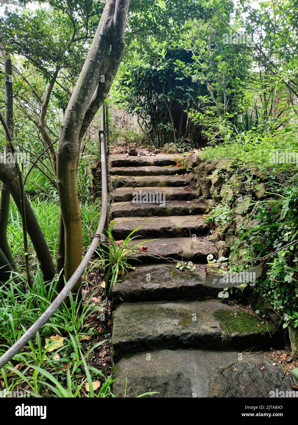 Founded by Lady Walton,wife of composer William Walton,La Mortella is ...
