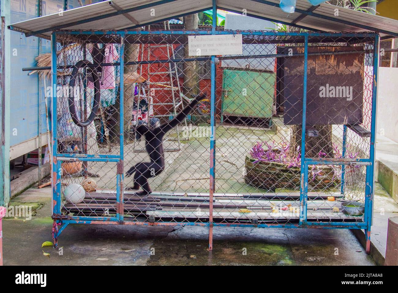 Thailand, Bangkok. Thonburi snake farm is on one of the canals and has ...