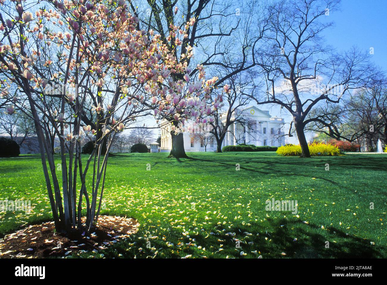 President baker in hi-res stock photography and images - Alamy