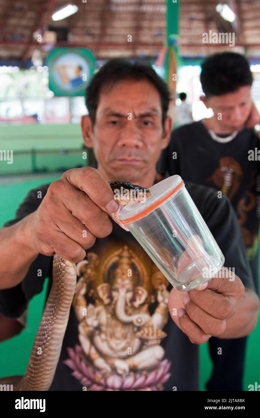 Thailand, Bangkok. Thonburi snake farm is on one of the canals and has ...