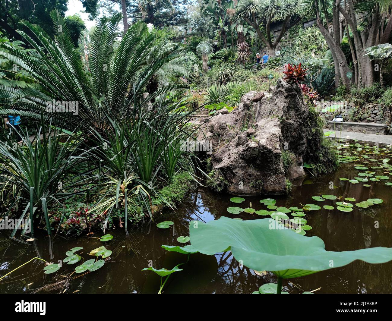 Founded by Lady Walton,wife of composer William Walton,La Mortella is ...