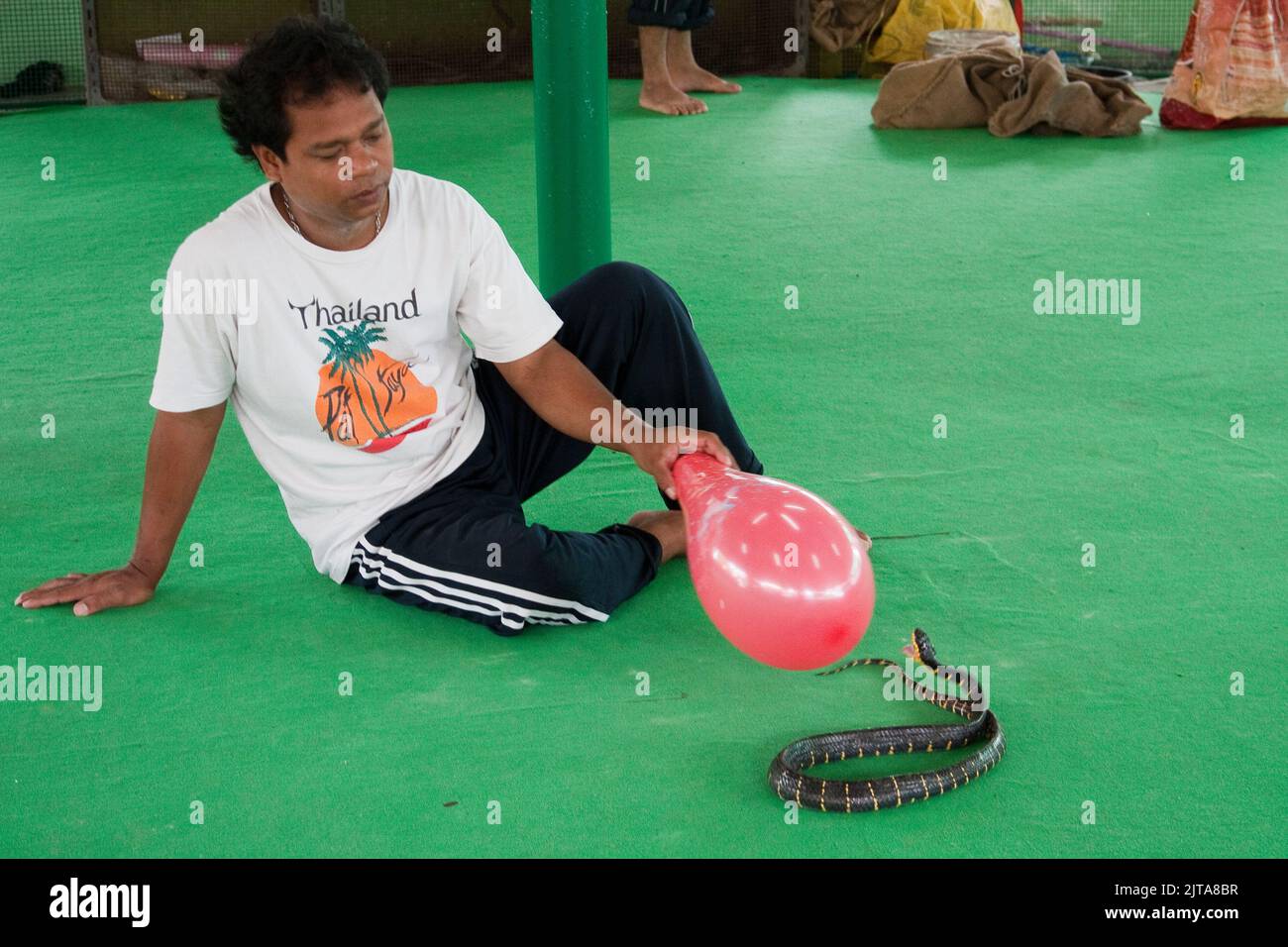 Thailand, Bangkok. Thonburi snake farm is on one of the canals and has ...