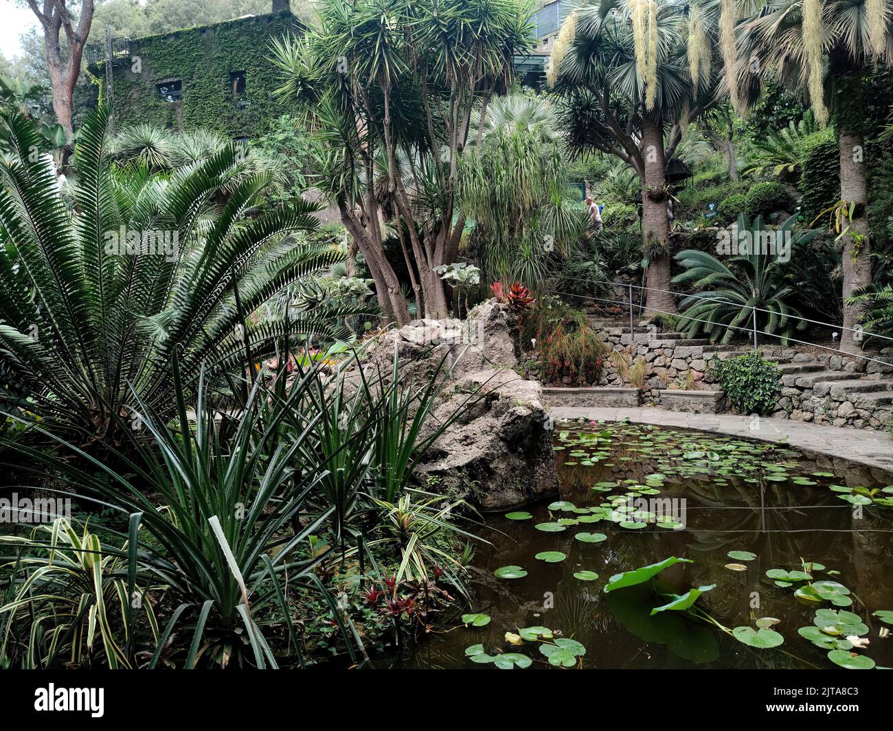 Founded by Lady Walton,wife of composer William Walton,La Mortella is ...