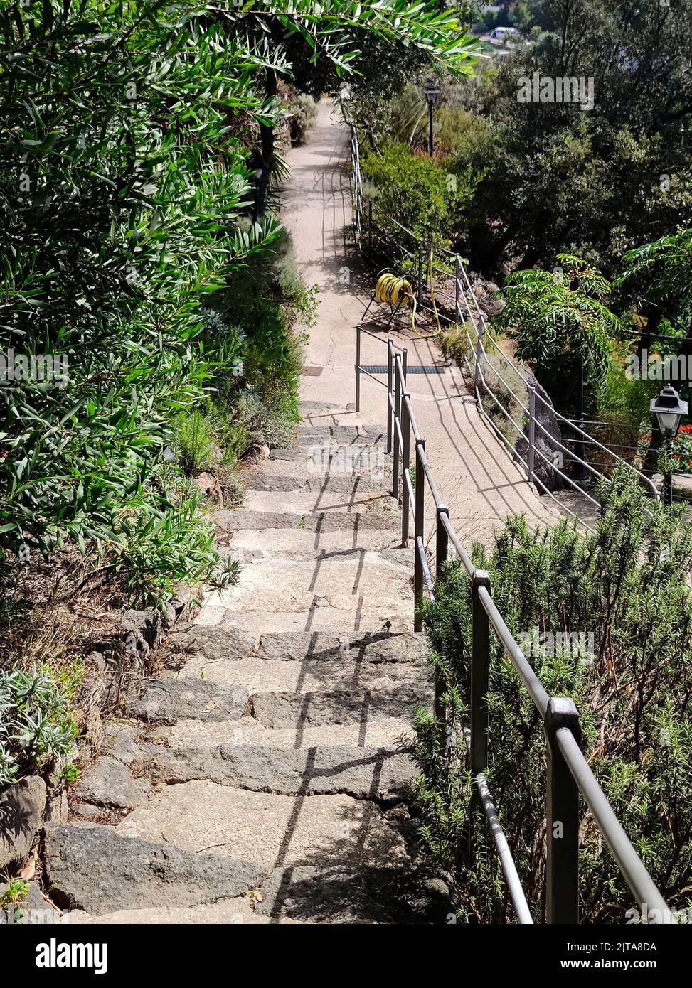Founded by Lady Walton,wife of composer William Walton,La Mortella is ...