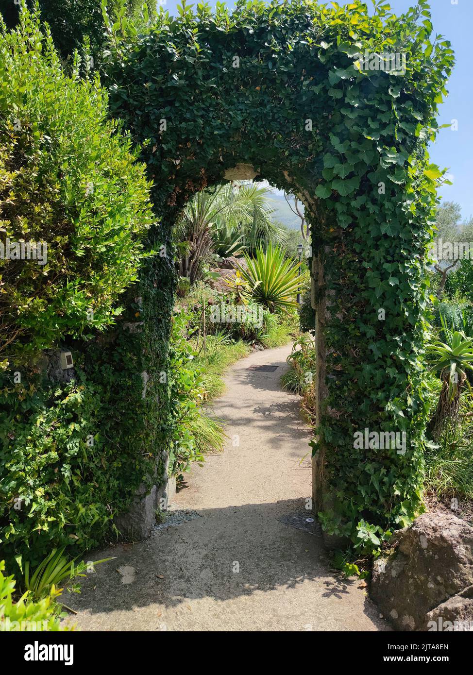 Founded by Lady Walton,wife of composer William Walton,La Mortella is ...