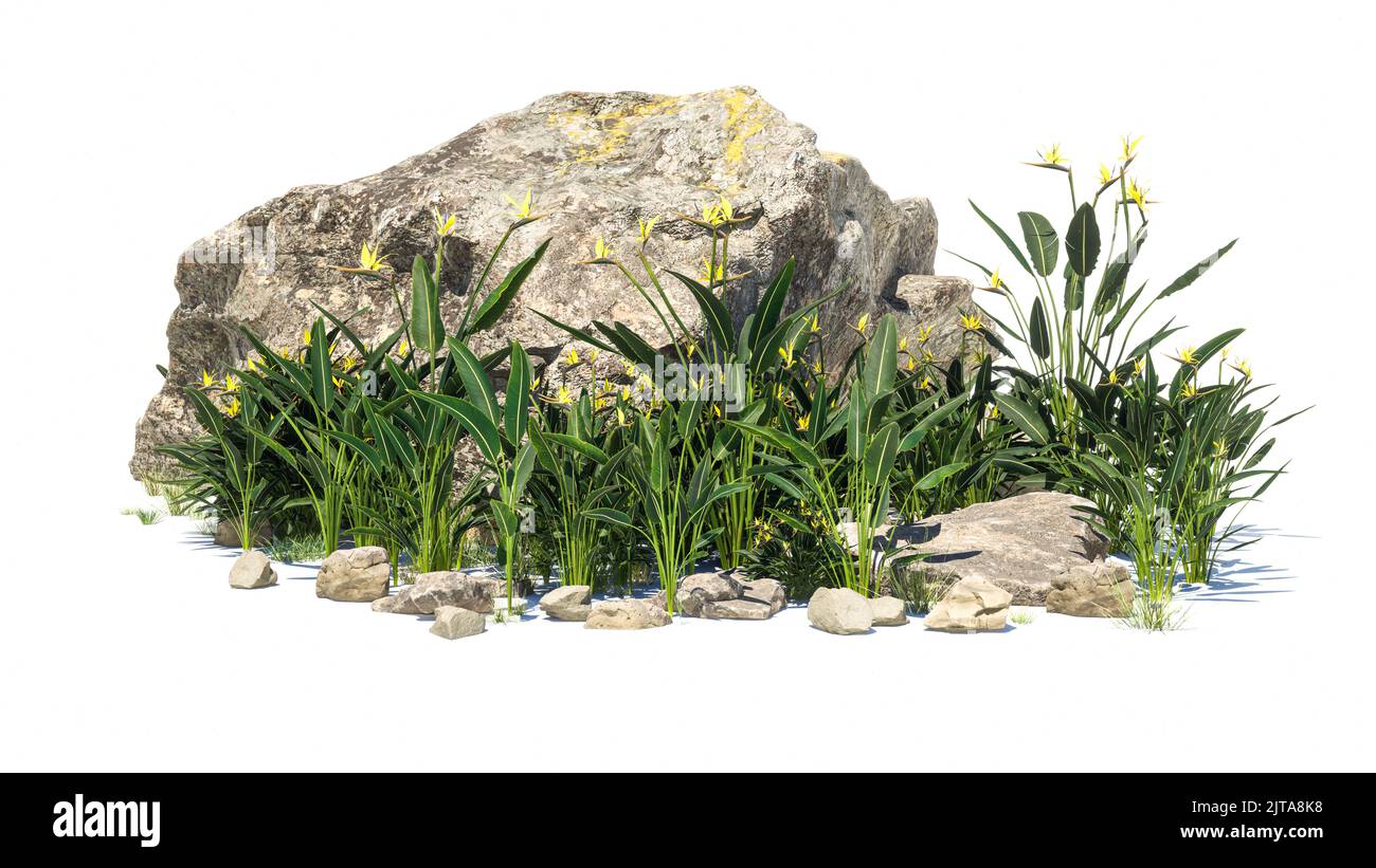 Natural flower and stone in garden isolated on white background. Garden ...