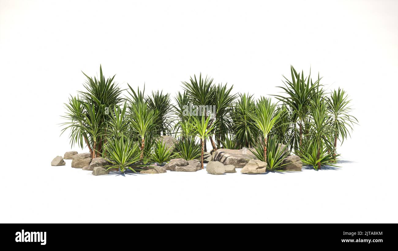 Foliage landscape for photo manipulation isolated on white background ...